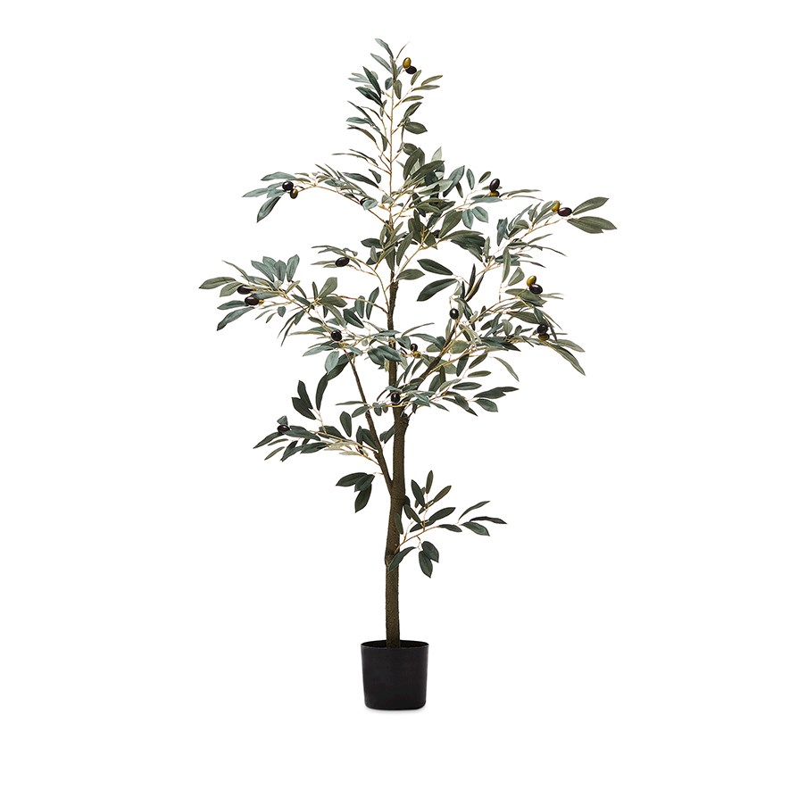 Home Republic - Mediterranean Garden Medium Olive Tree | Adairs