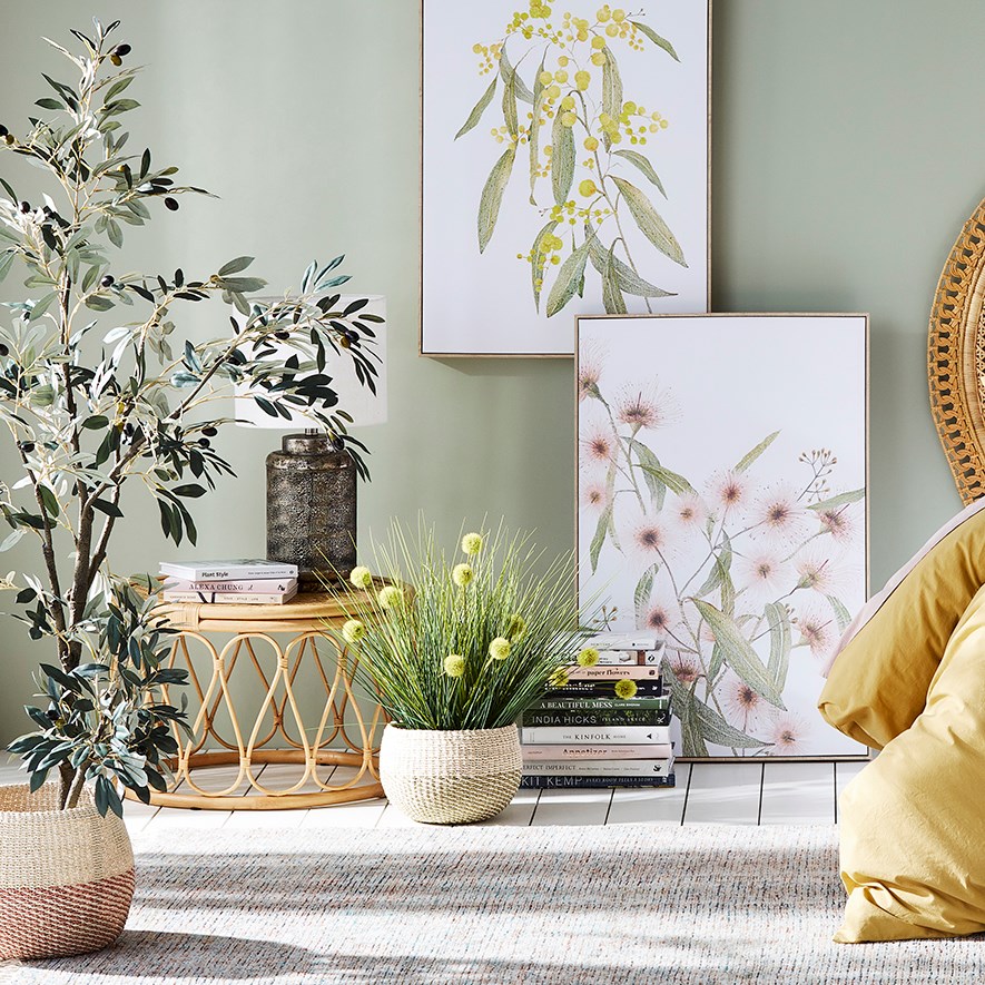 Home Republic - Mediterranean Garden Medium Olive Tree | Adairs