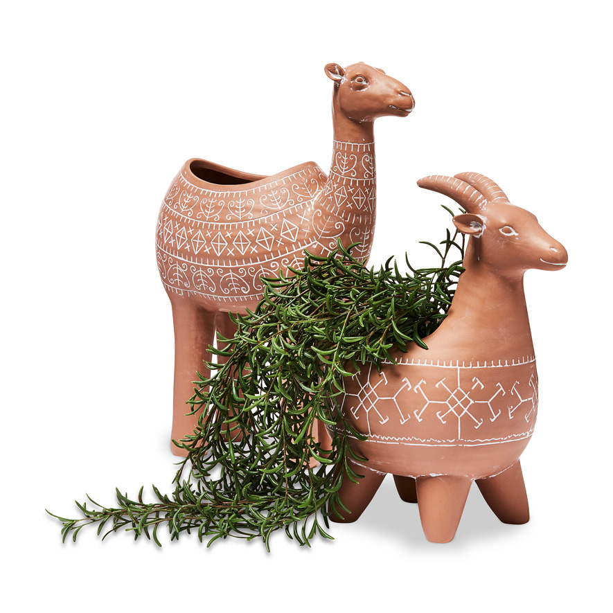 Maya Goat Terracotta Pot | Adairs