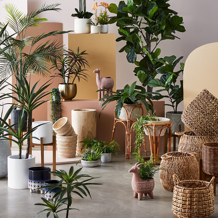 Maya Goat Terracotta Pot | Adairs