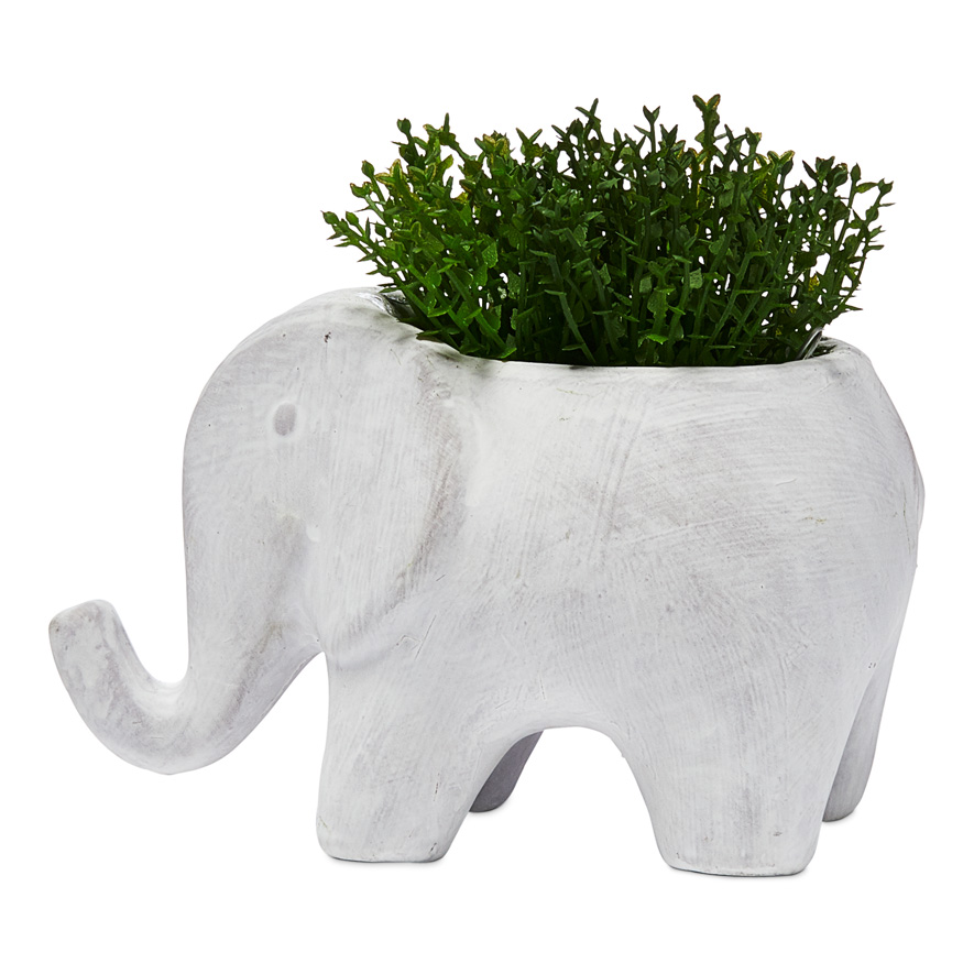 Animal Potted Elephant Grey Succulent | Adairs