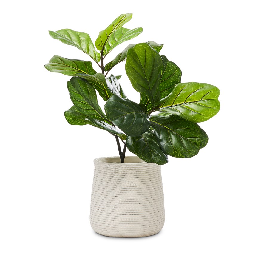 Home Republic - Textured Ceramic Ribbed White Pot | Adairs