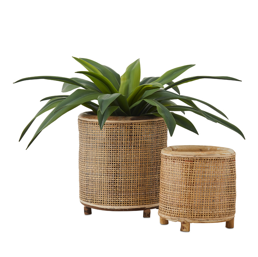 Home Republic - Benoa Small Natural Rattan Pot | Adairs