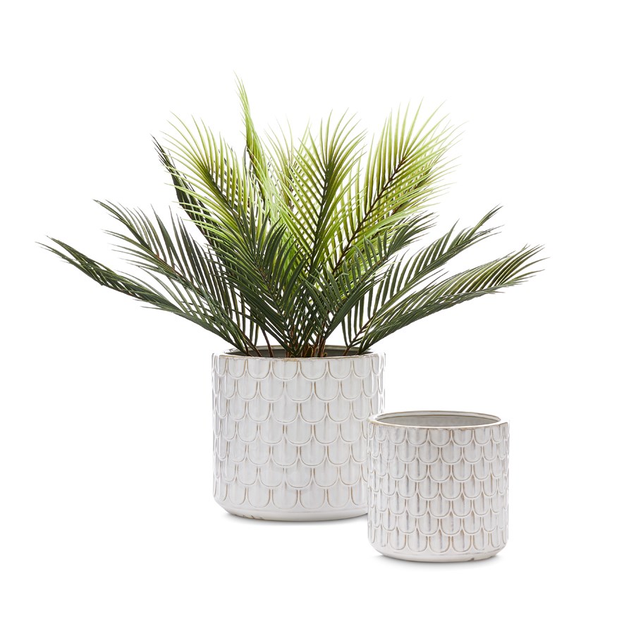 Home Republic - Village White Scallop Pot | Adairs