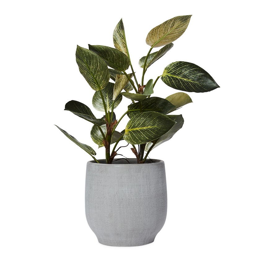 Aerial Grey Pot | Adairs
