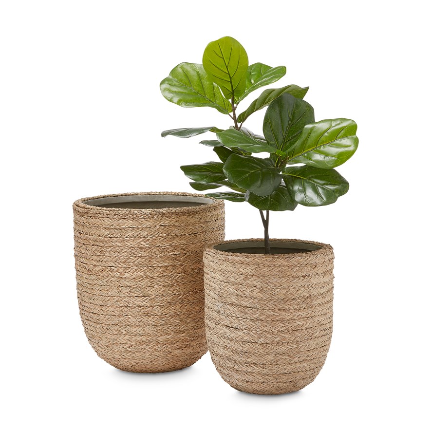 Jimbaran Natural Pot | Adairs