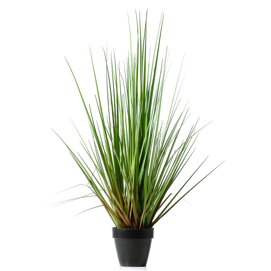 Mercer + Reid - Green Potted Prairie Grass | Adairs