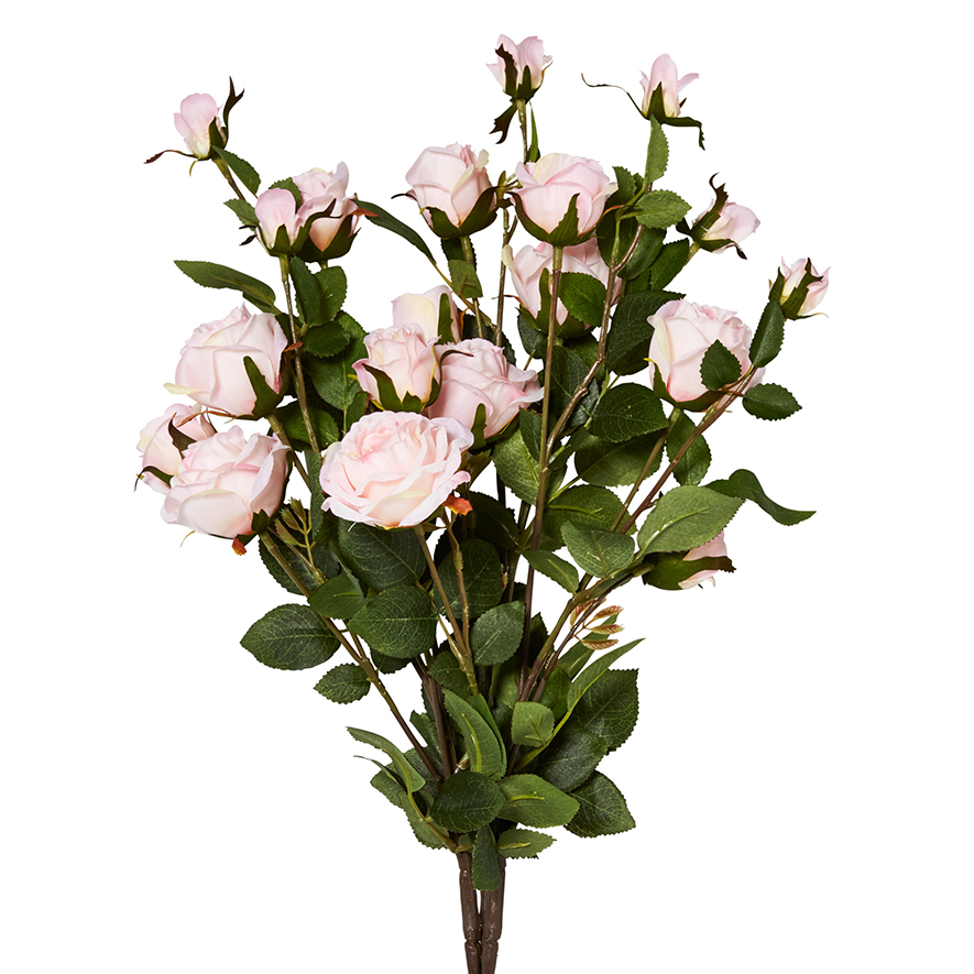 Mercer + Reid - Spring Cabbage Roses Pink Stem | Adairs
