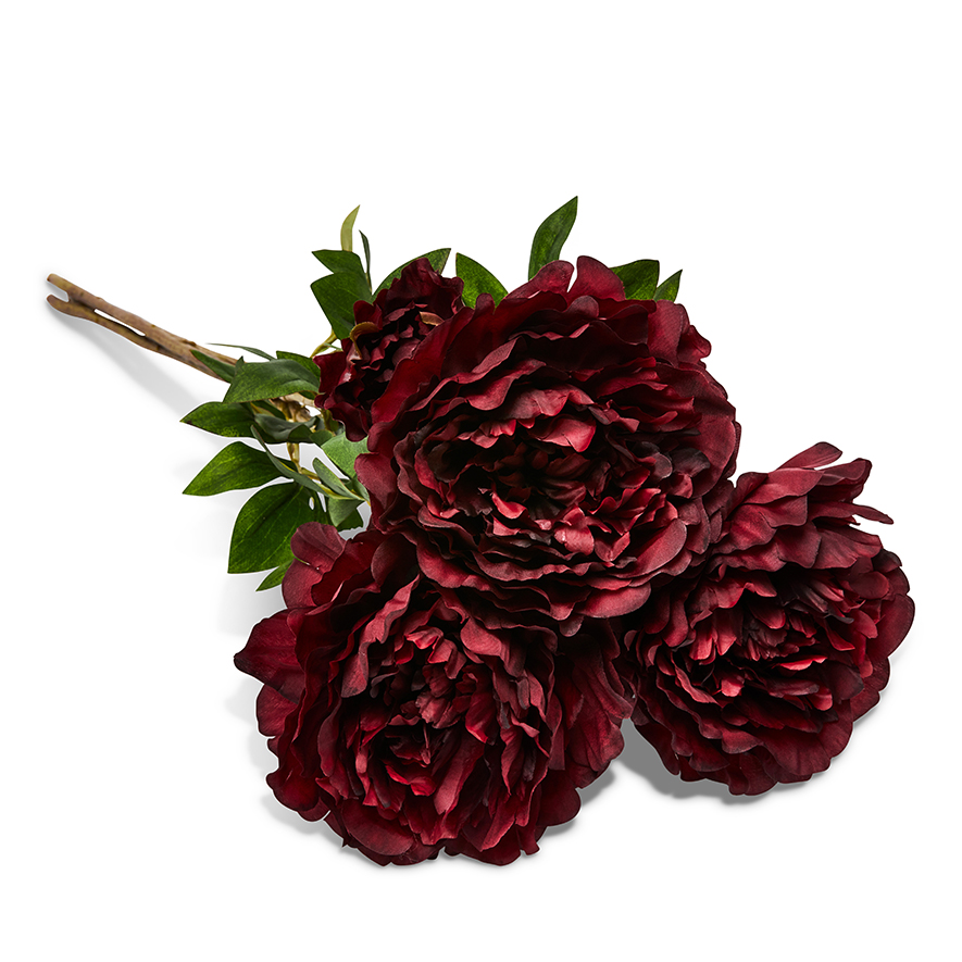 Mercer + Reid - Spring Stems Full Blown Peony Burgandy | Adairs