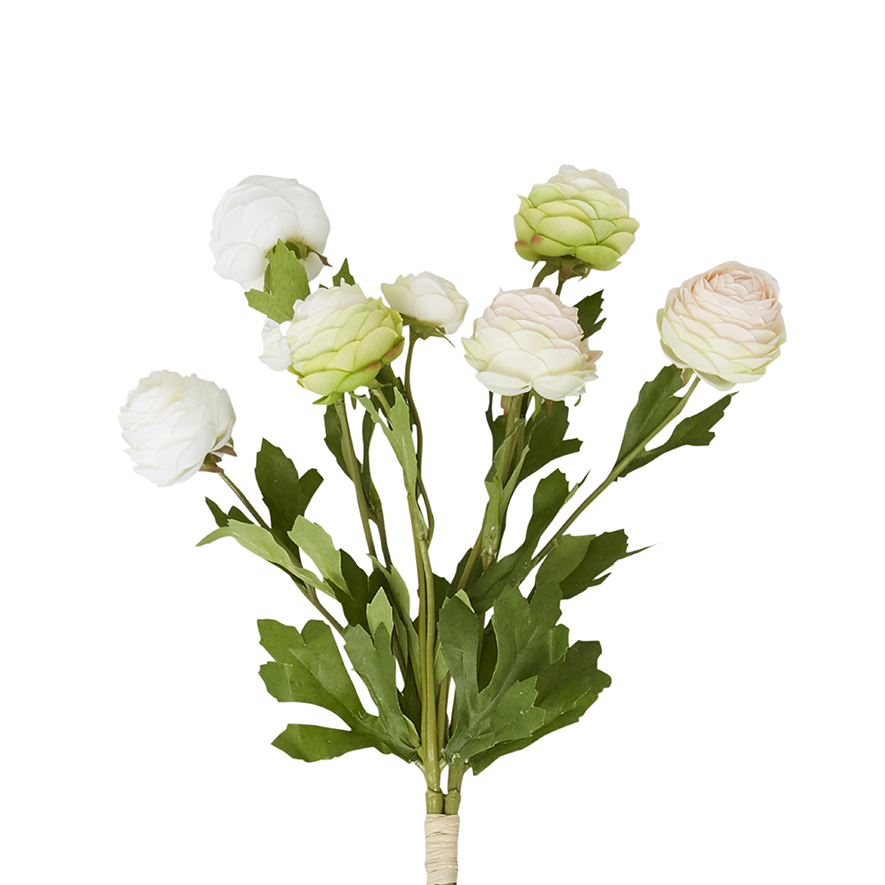 Mercer + Reid - Spring Stems Ranunculus White | Adairs