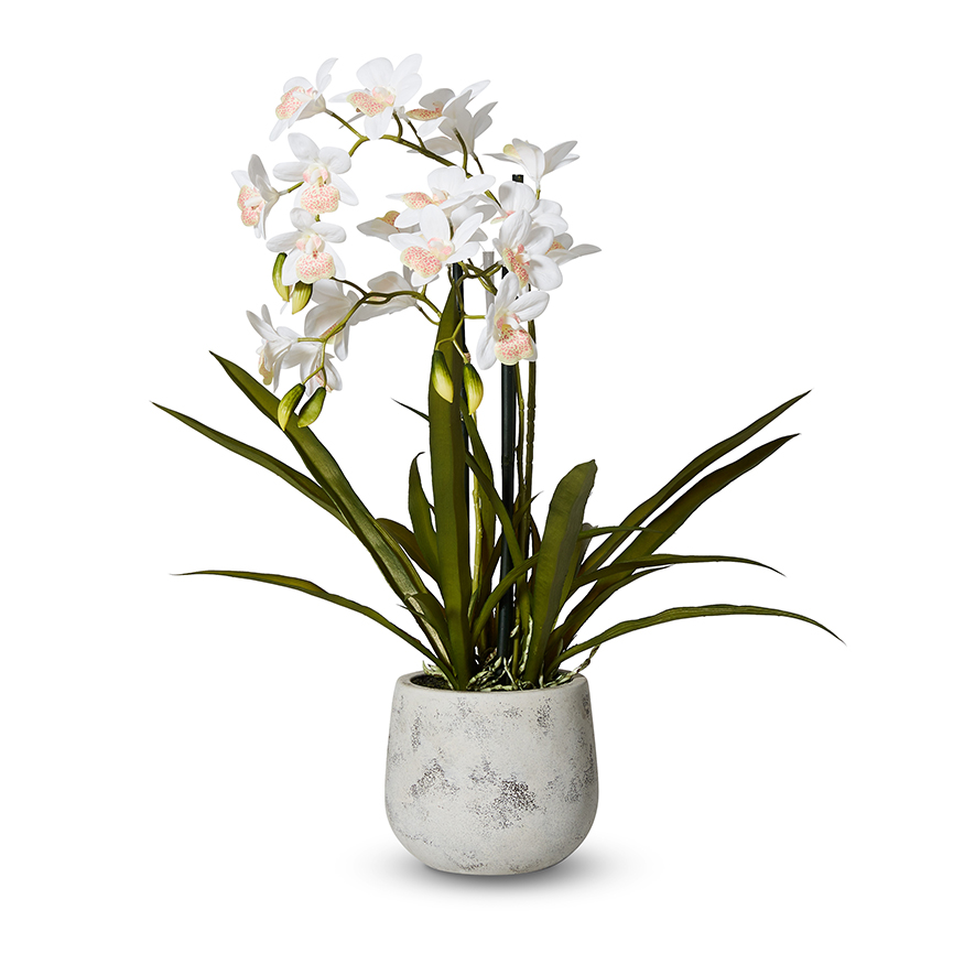Mercer + Reid - Spotted Orchid 3 Stem White | Adairs