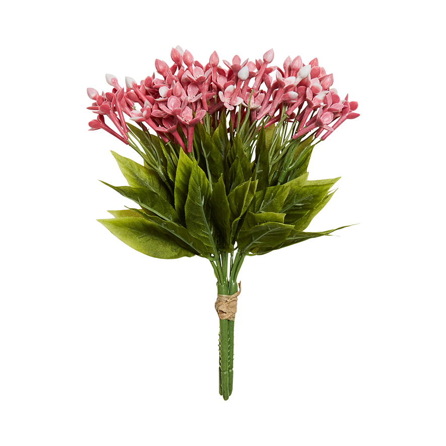 Mercer + Reid - Jasmine Bunch Pink | Adairs