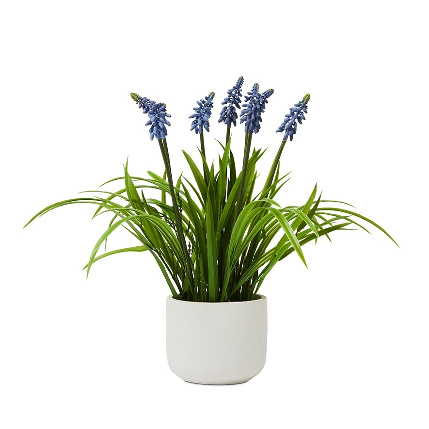 Mercer + Reid - Potted Green Hyacinth | Adairs