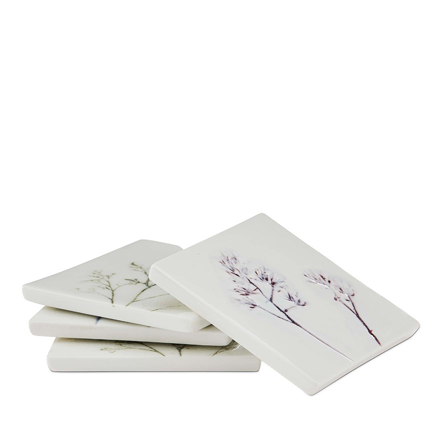 Fragrant Fields 4 Pack of Coasters | Adairs