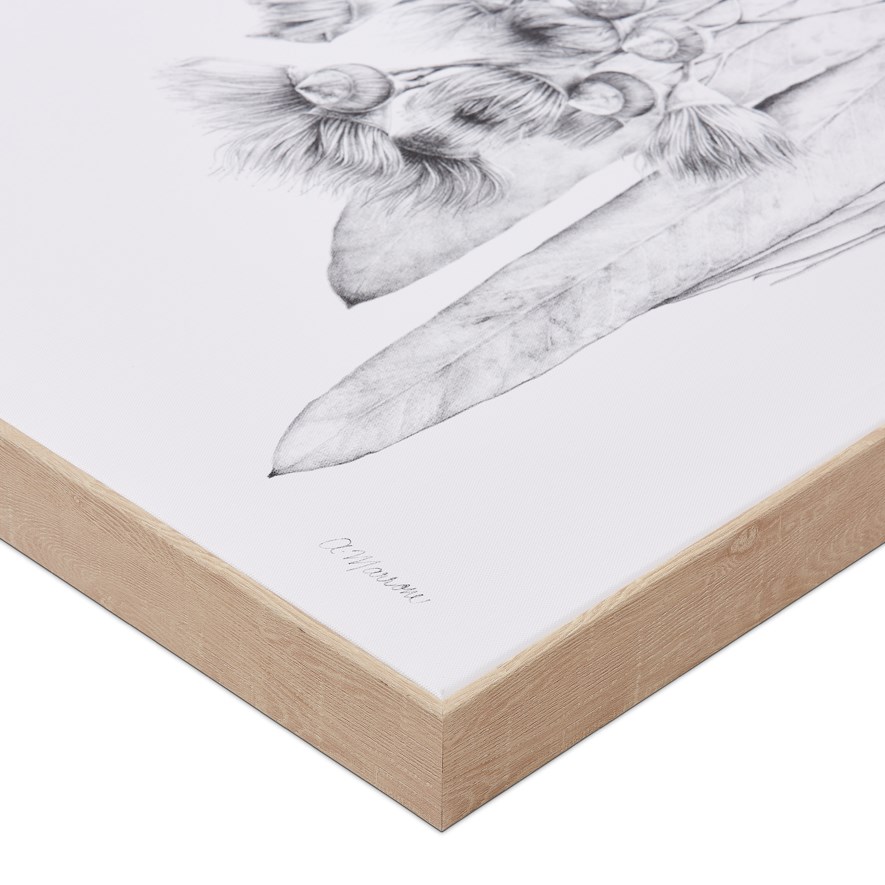 Anna Marrone Native Graphite Gumnut Wall Art | Adairs