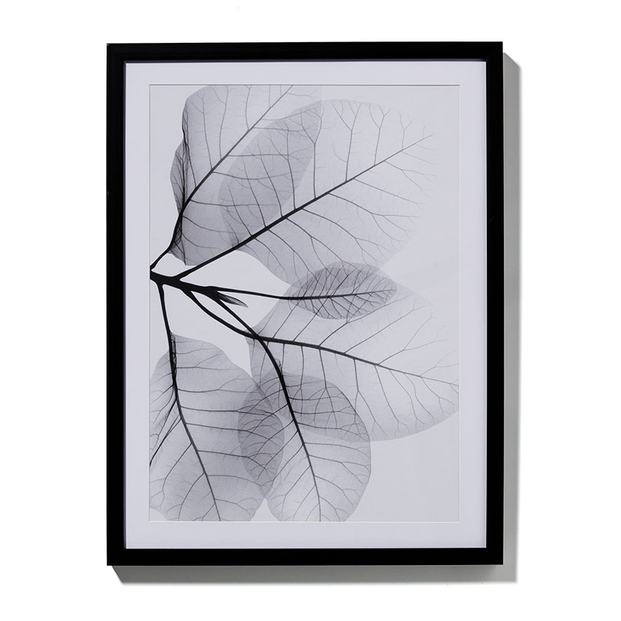 Home Republic - Transparent Foilage Print Grace | Adairs