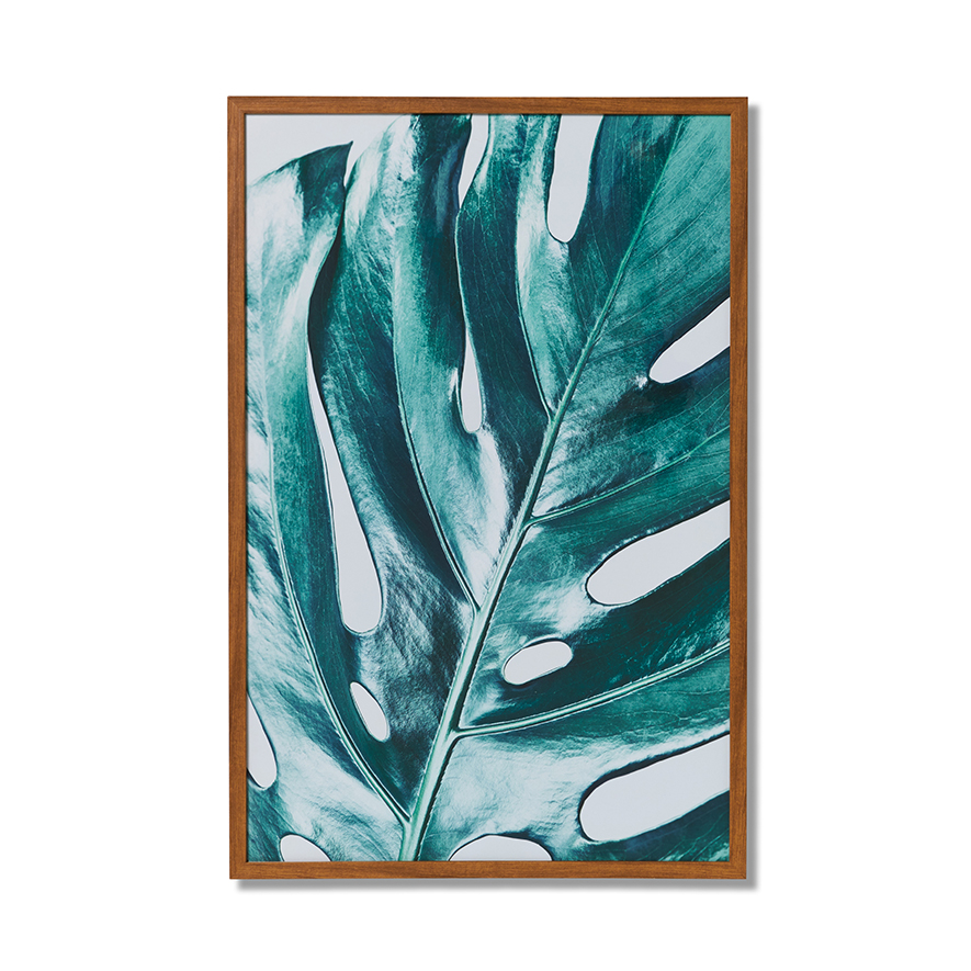 Home Republic - Summer Leaves Emerald Monstera | Adairs