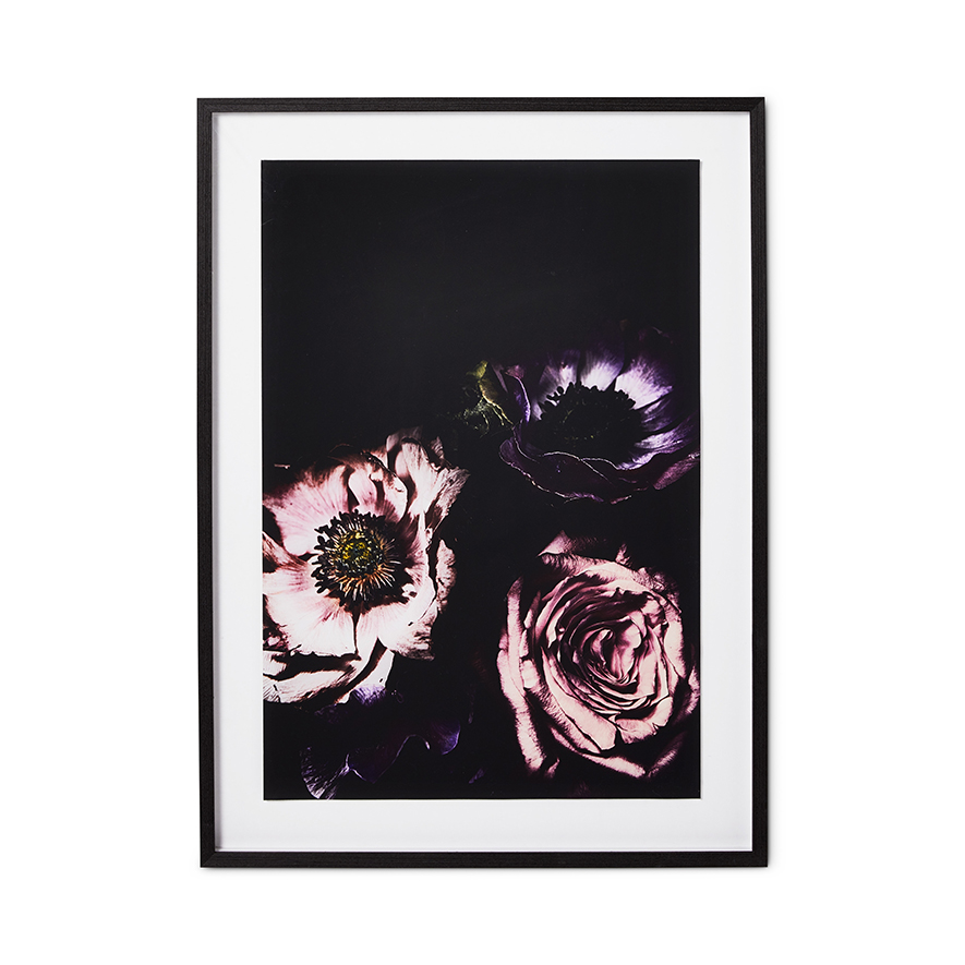 Home Republic - Dark Floral Megenta Rose Print | Adairs