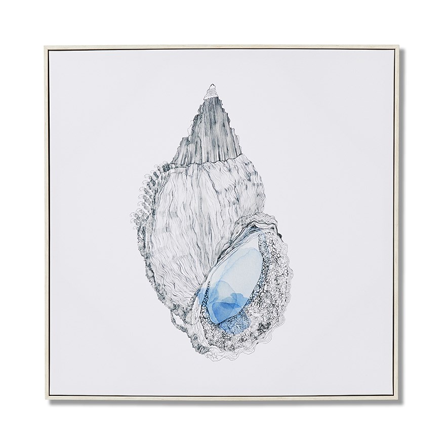 Coastal Canvas Shell Ocean Wall Art | Adairs
